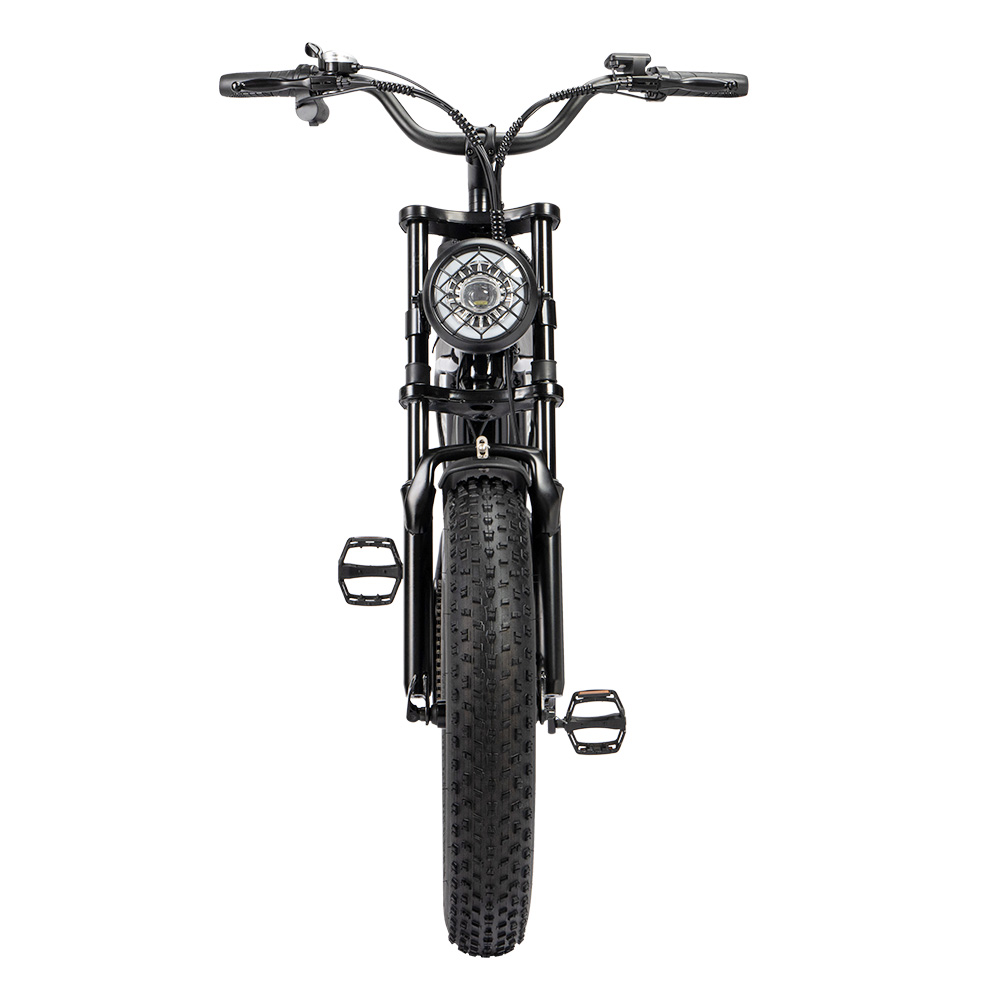 Ridstar Q20 Mini Electric Bike