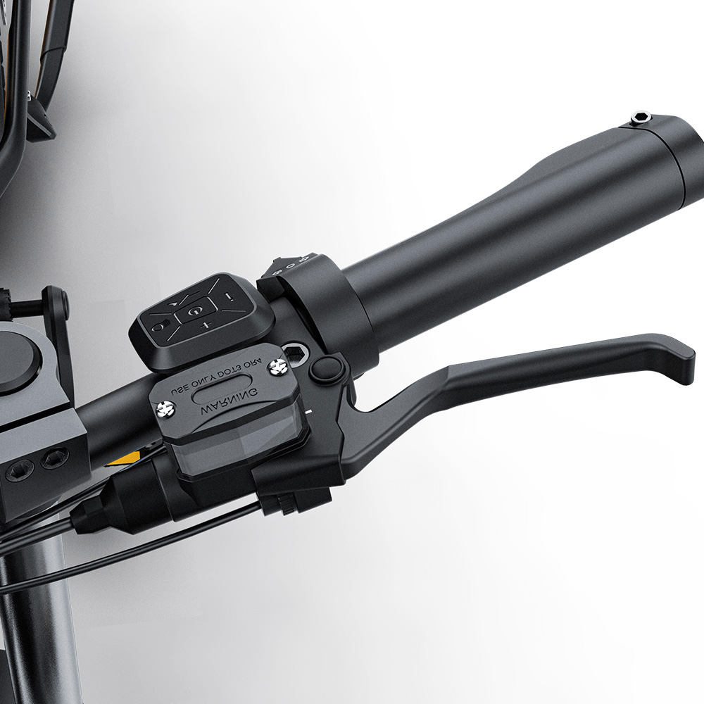COSWHEEL GT20 Electric Bike 20 Inch 750W Motor 25AH 45Km/h Speed