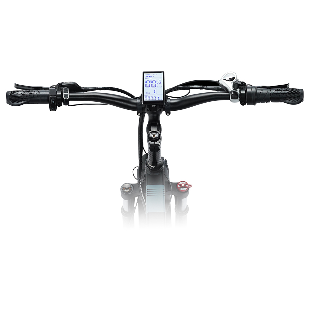 Ridstar H20 Electric Bike 1000W/15Ah