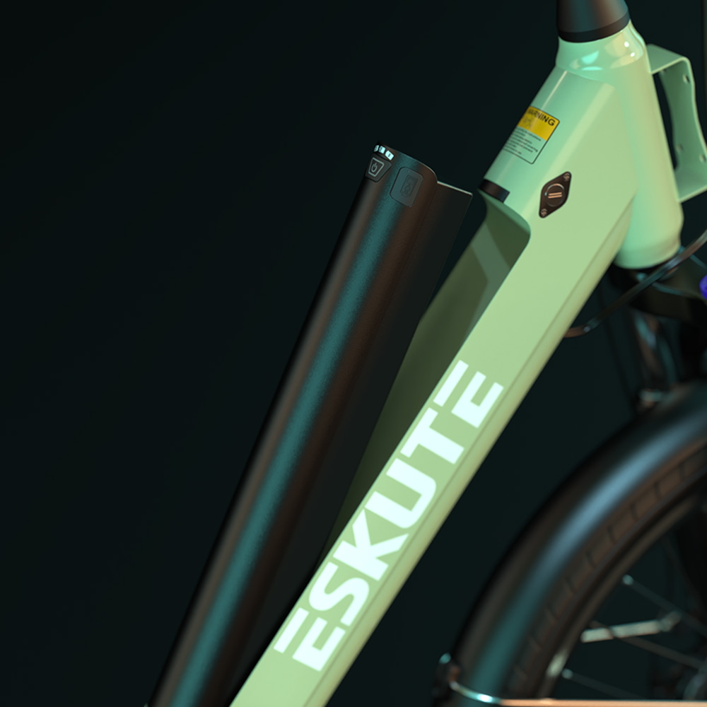 ESKUTE C100 Electric Bike 250W/10.4Ah Green | Europe