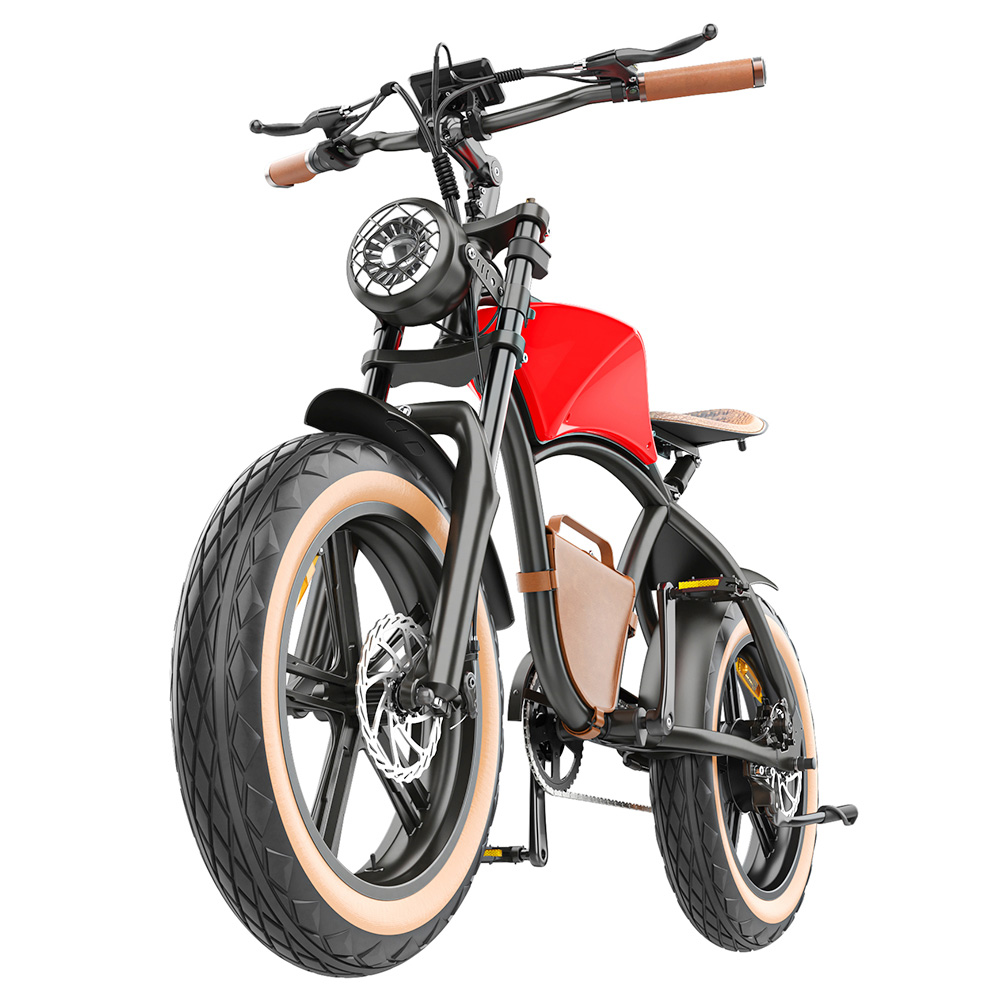 Hidoes B10 Electric Bike 1000W 48V 13Ah