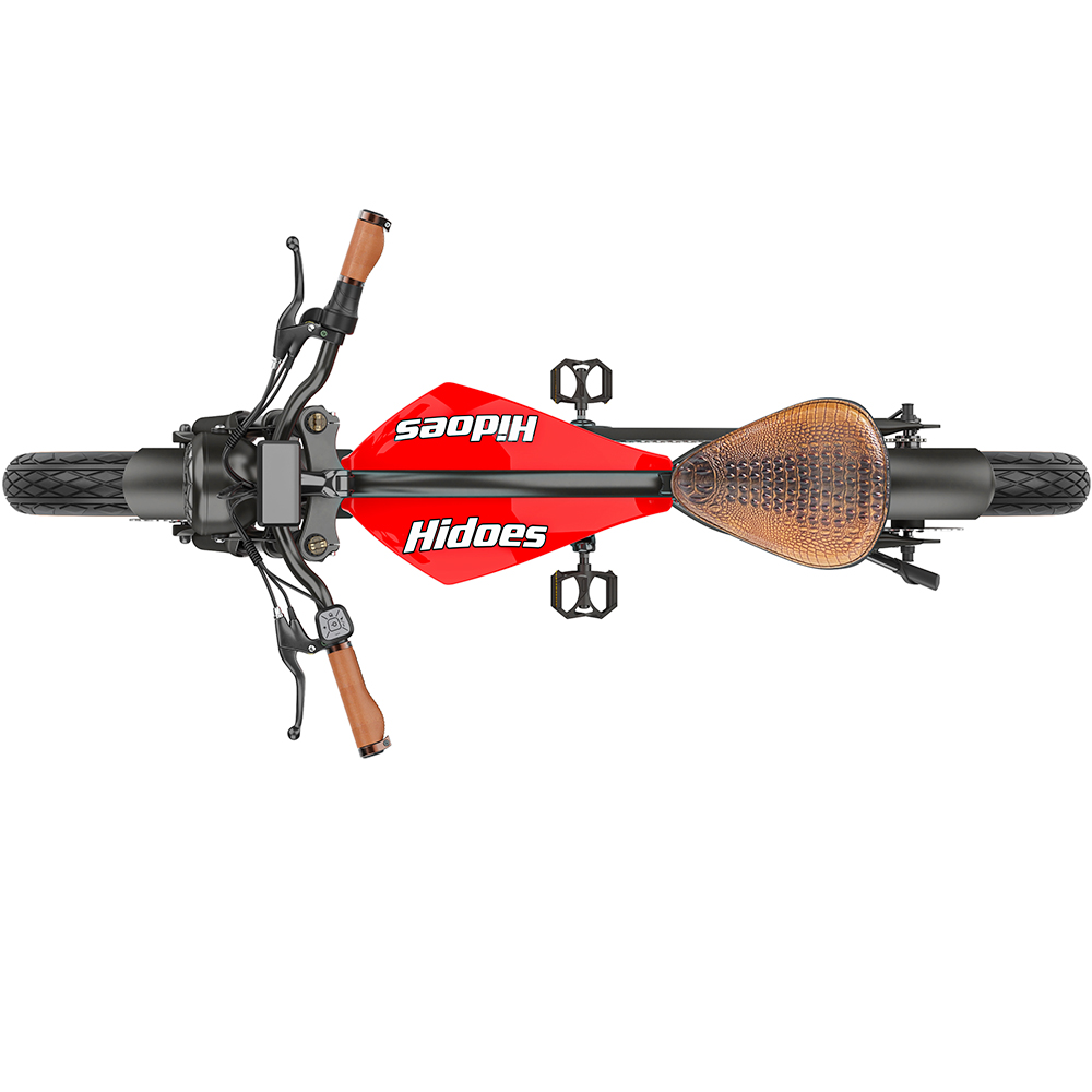 Hidoes B10 Electric Bike 1000W 48V 13Ah