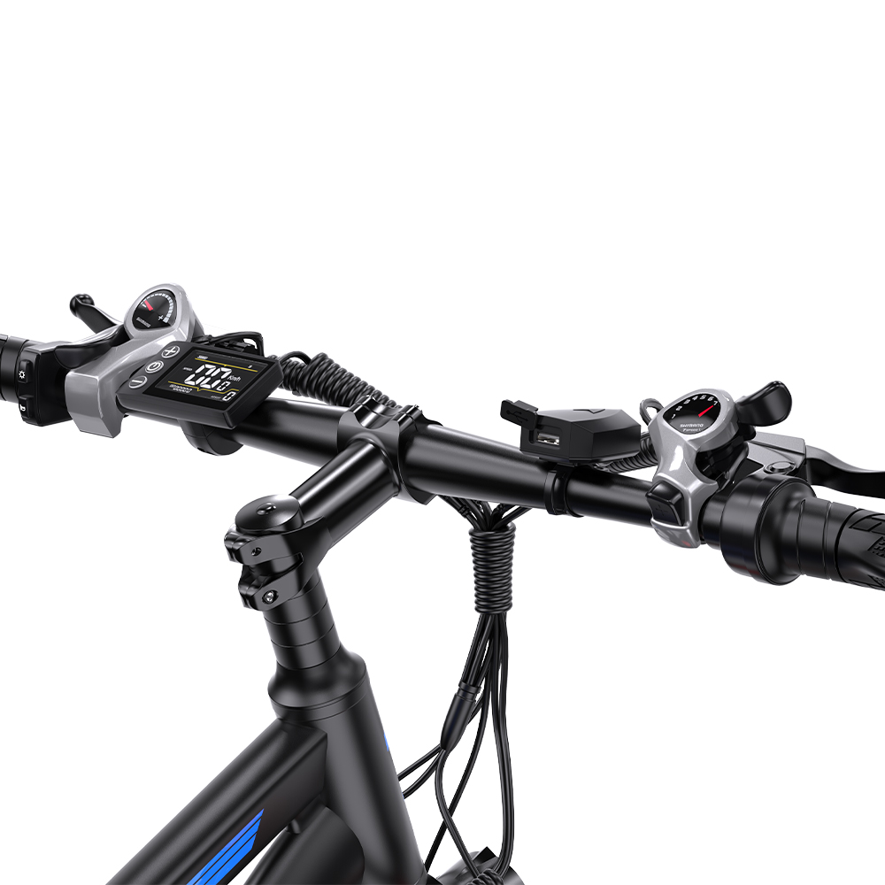 DUOTTS C29 Electric Bike 750W Mountain Bike Dual 15Ah Batteries | Europe