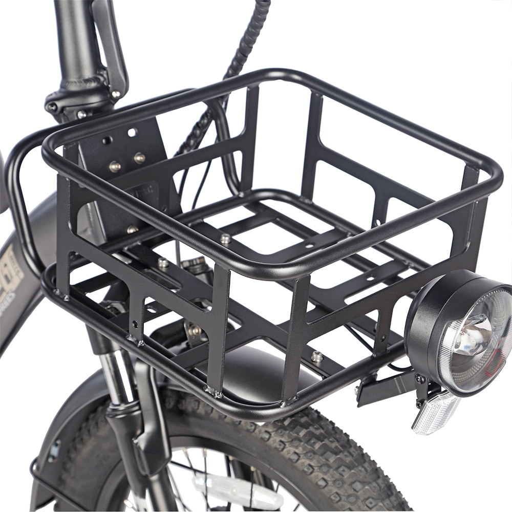FAFREES F20 Mate Electric Tricycle Black | Europe
