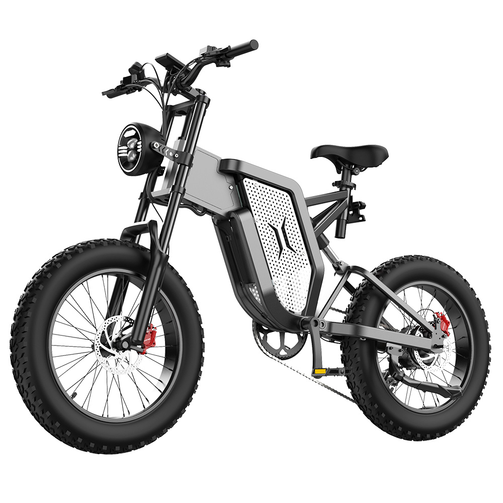 EKXBIKE X20 Electric Bike 2000W 48V 35Ah