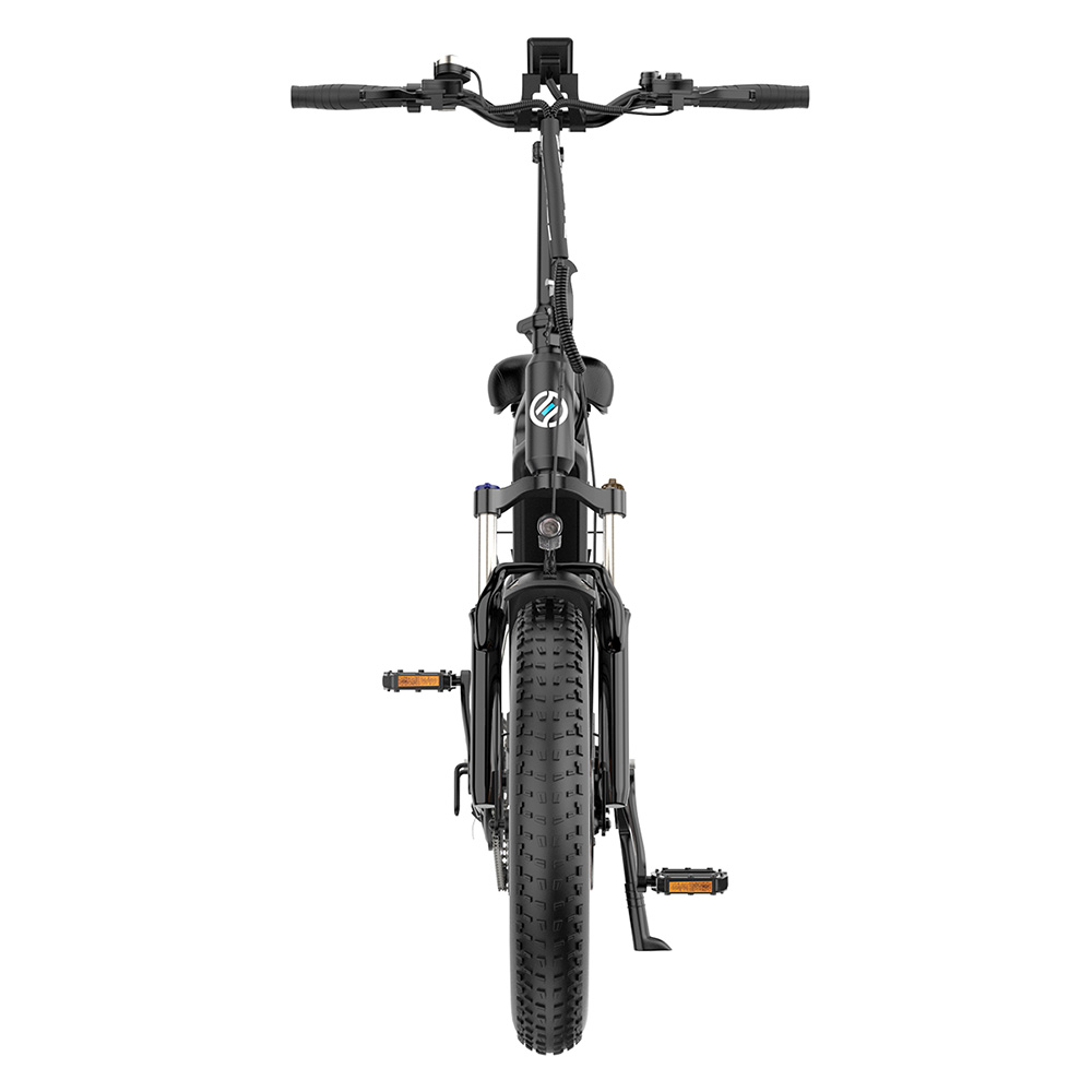 ESKUTE Star Electric Bike 20 inch 36V 25Ah 25km/h 250W Motor Black