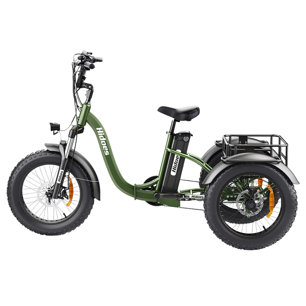 Hidoes HD-ET1 Electric Tricycle 750W 48V 20Ah 150kg Load Max 65km Rang