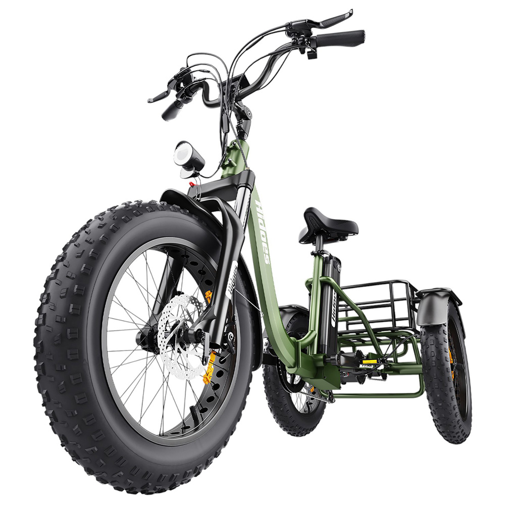 Hidoes HD-ET1 Electric Tricycle 750W 48V 20Ah 150kg Load Max 65km Rang
