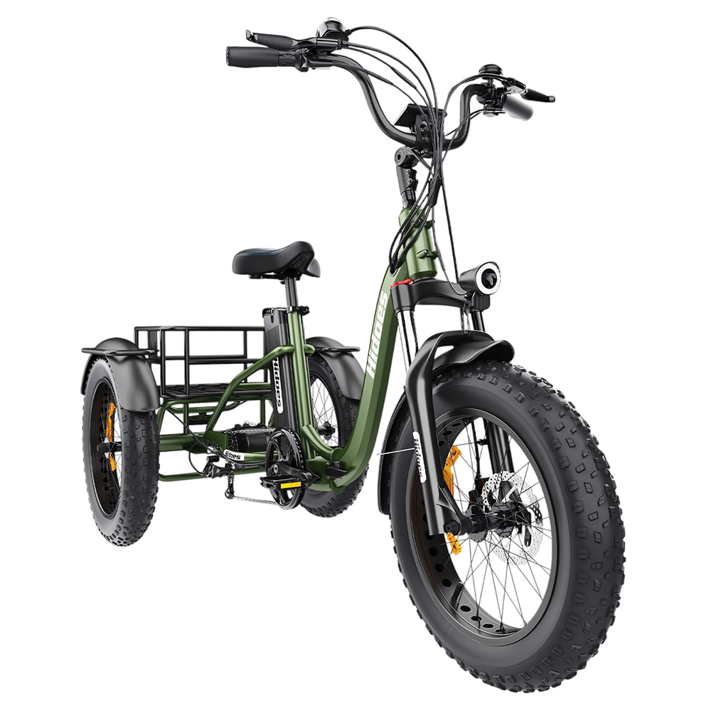 Hidoes HD-ET1 Electric Tricycle 750W 48V 20Ah 150kg Load Max 65km Rang