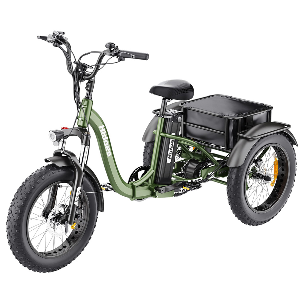 Hidoes HD-ET1 Electric Tricycle 750W 48V 20Ah 150kg Load Max 65km Rang