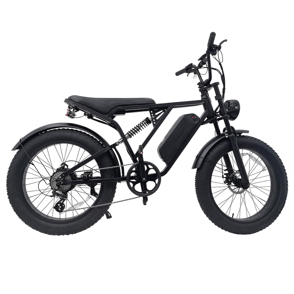 YANGOR Y-24 Electric Bike 250W 48V 20AH