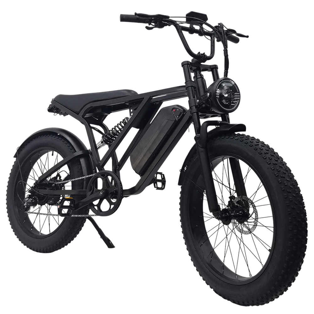 YANGOR Y-24 Electric Bike 250W 48V 20AH