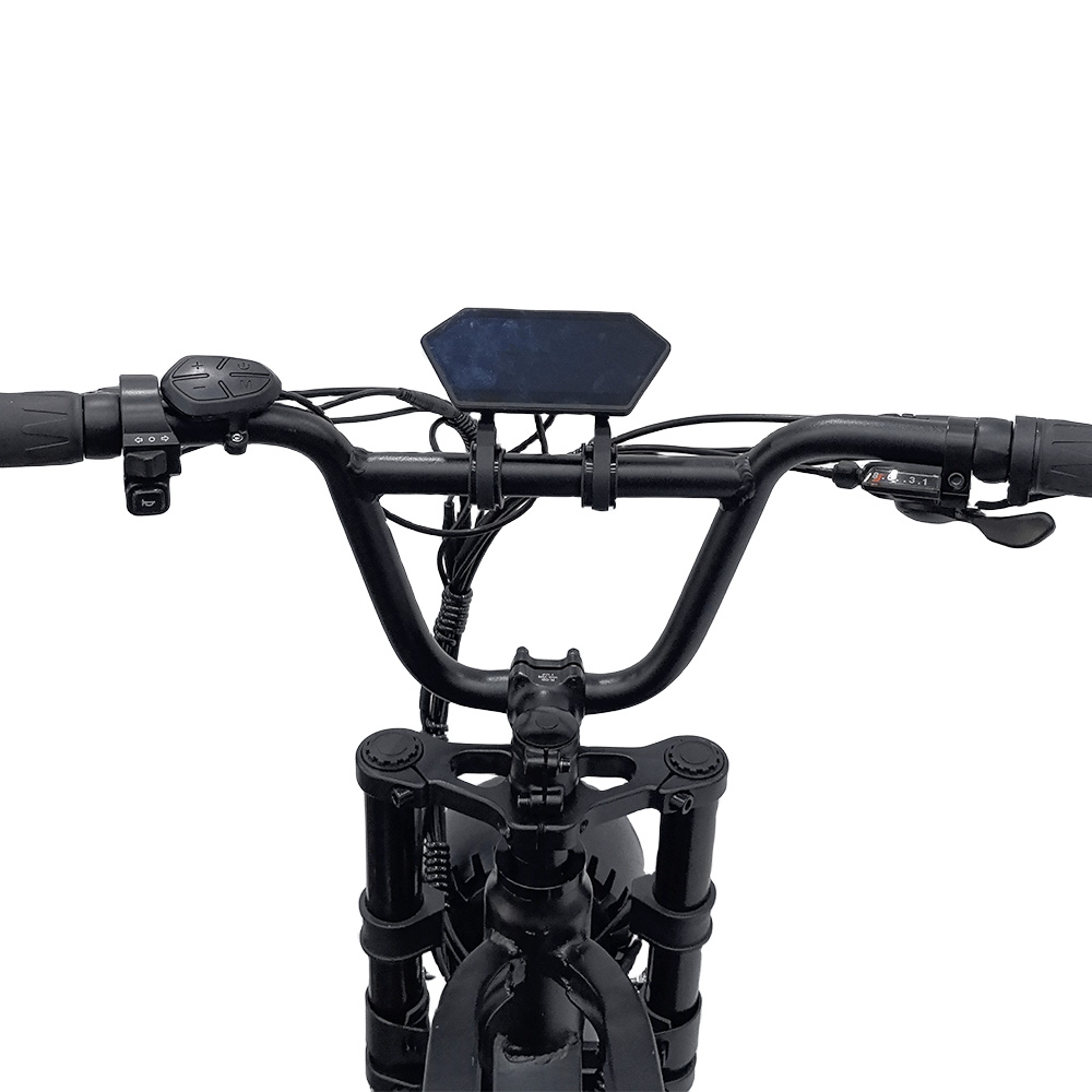 YANGOR Y-24 Electric Bike 250W 48V 20AH
