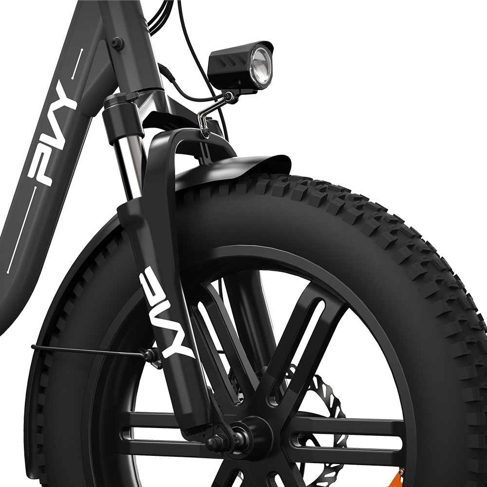 PVY LS20 Electric Bike 250W 16.5Ah Grey