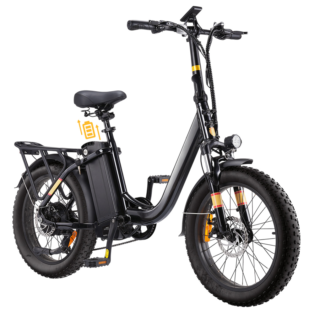 Free Electric Bike 250W 48V 15.6Ah Black