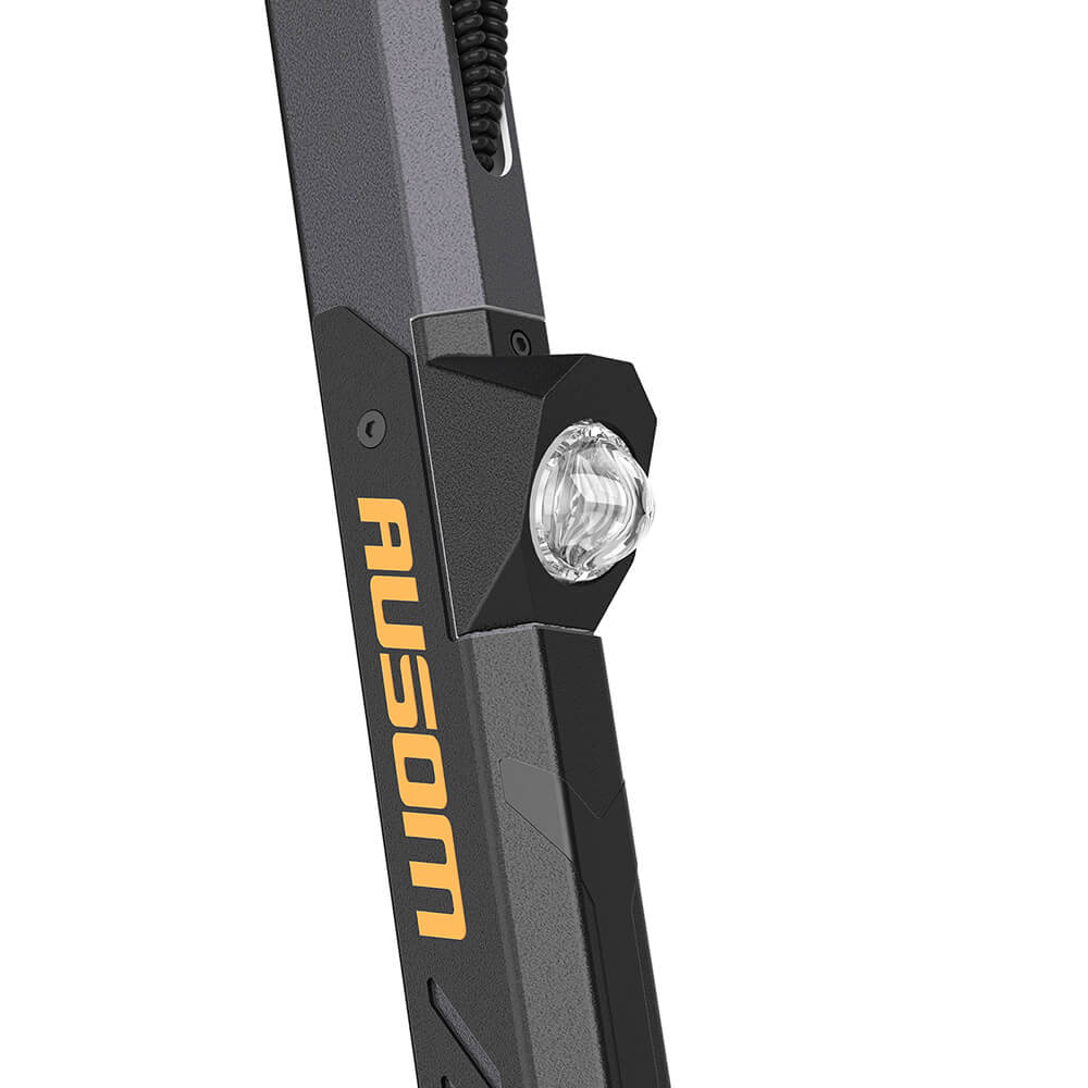 Ausom DT2 Pro Electric Scooter | Poland