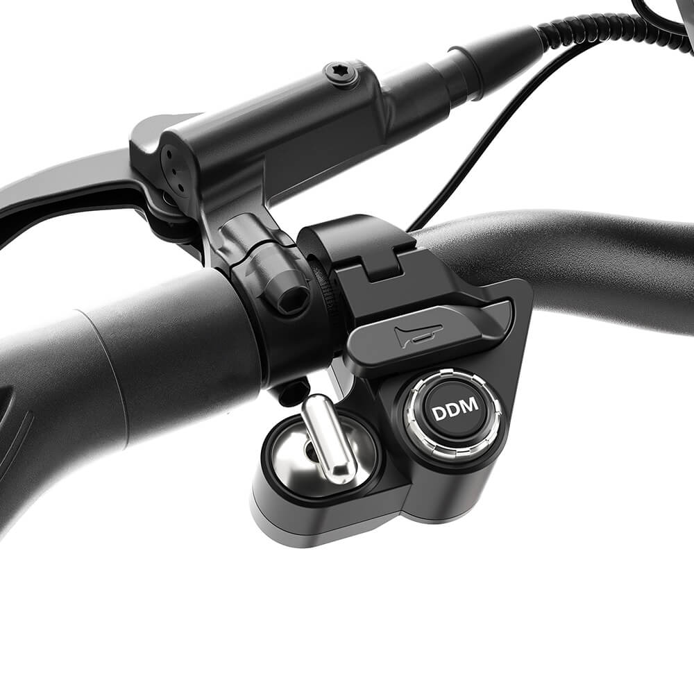 Ausom DT2 Pro Electric Scooter | Poland