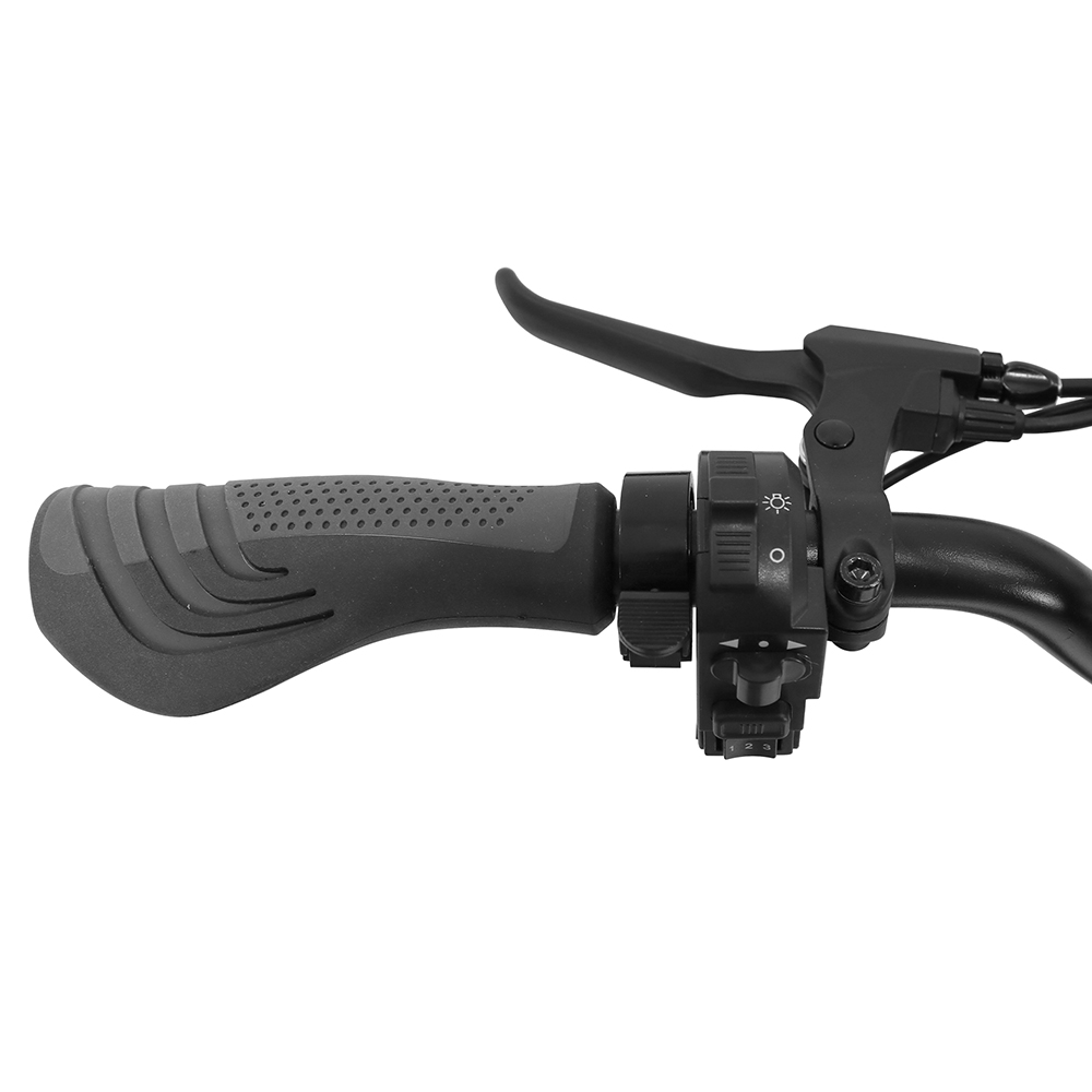 OOTD T10 Electric Scooter 500W 48V 13AH