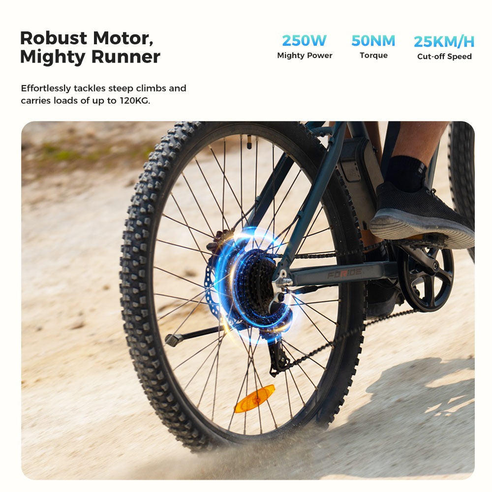 Foride Xtremer 3 Electric Bike 250W 48V 12Ah | Europe