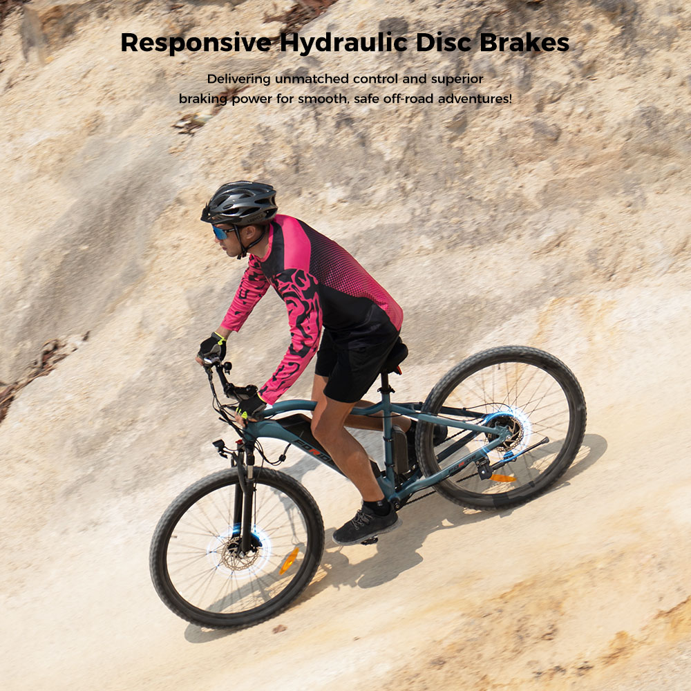 Foride Xtremer 3 Electric Bike 250W 48V 12Ah | Europe