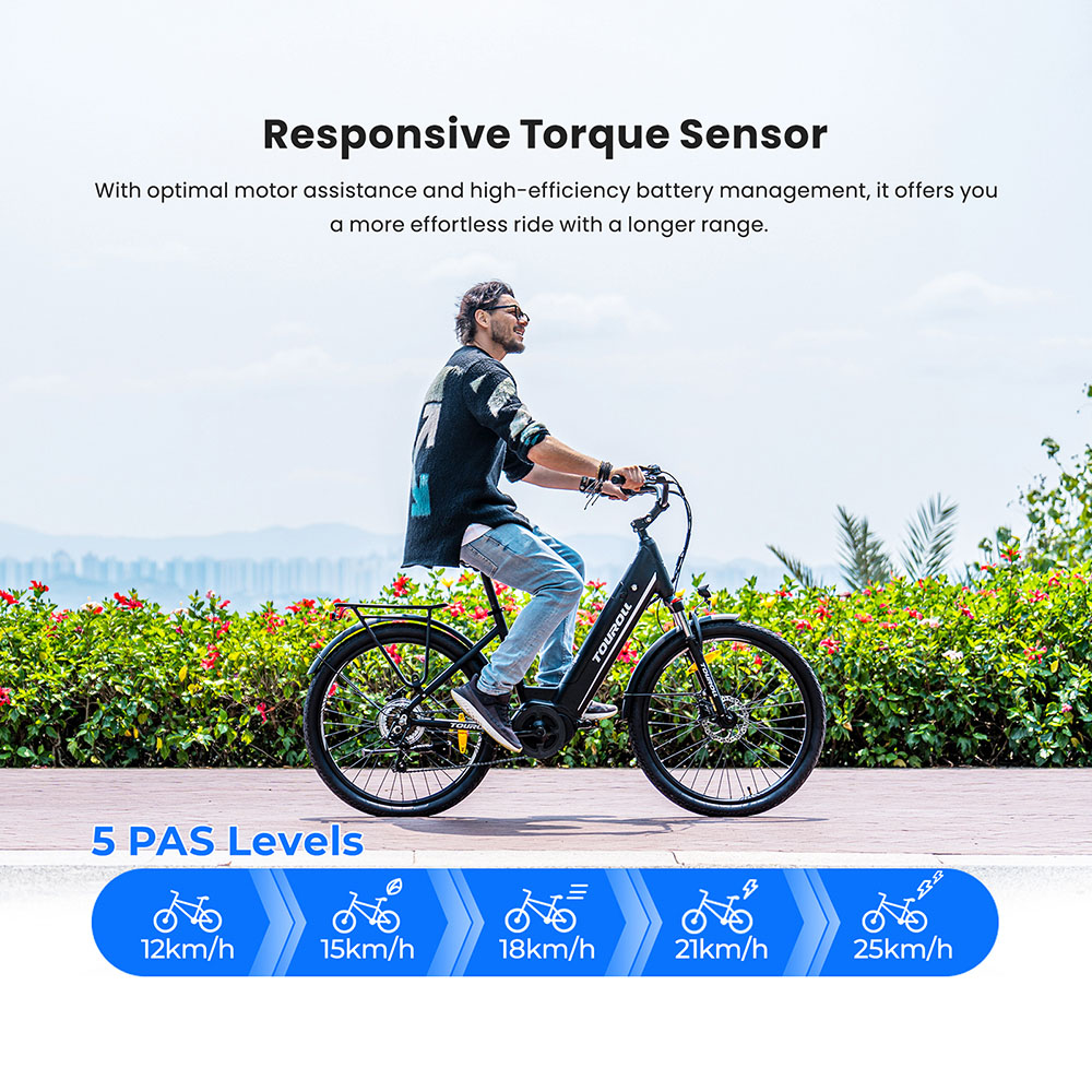 Touroll MA1 Electric Bike 250W 36V 13Ah EU Plug | Poland