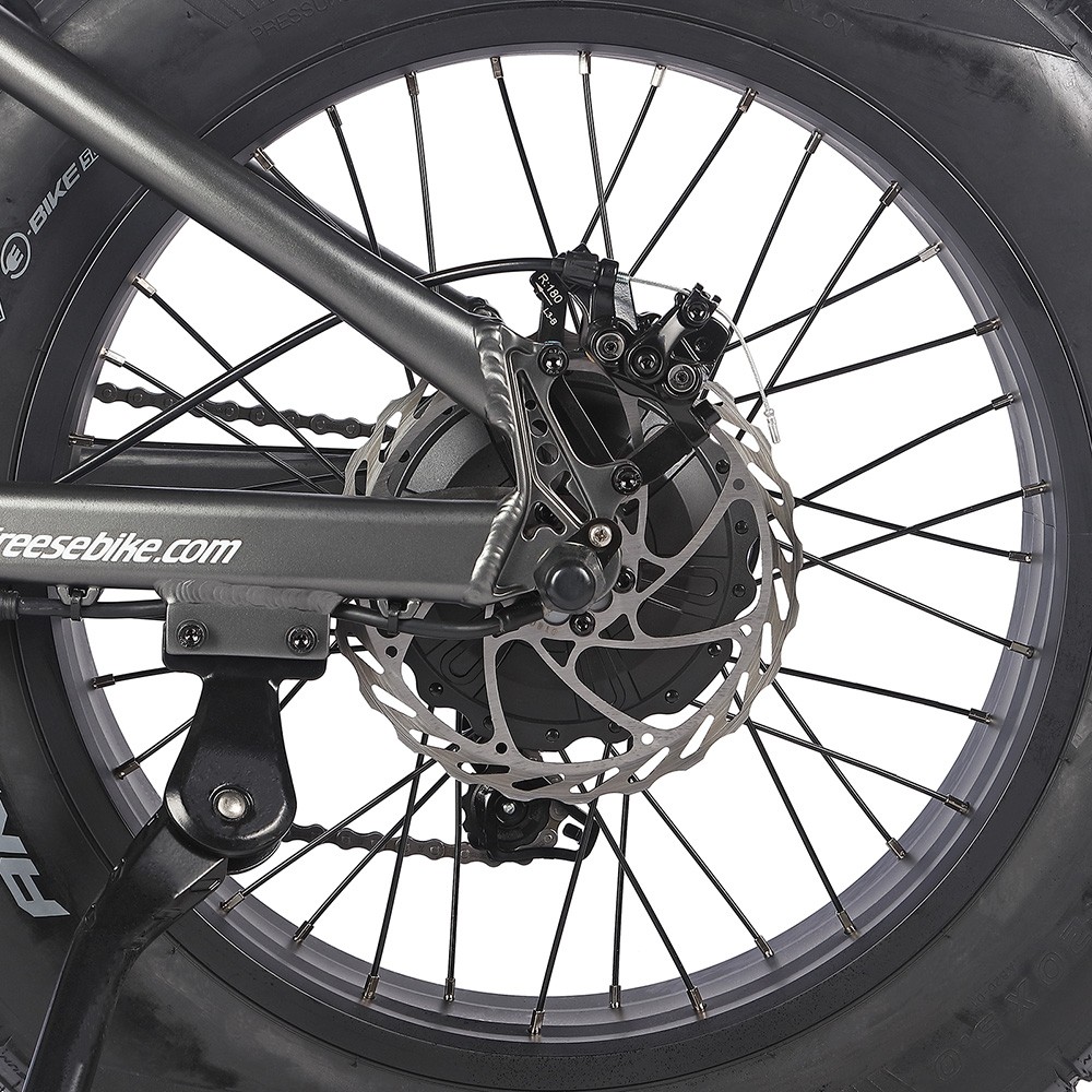Fafrees F20 Ultra E Bike (Upgraded Version) 750W 48V 25Ah Black | Europe