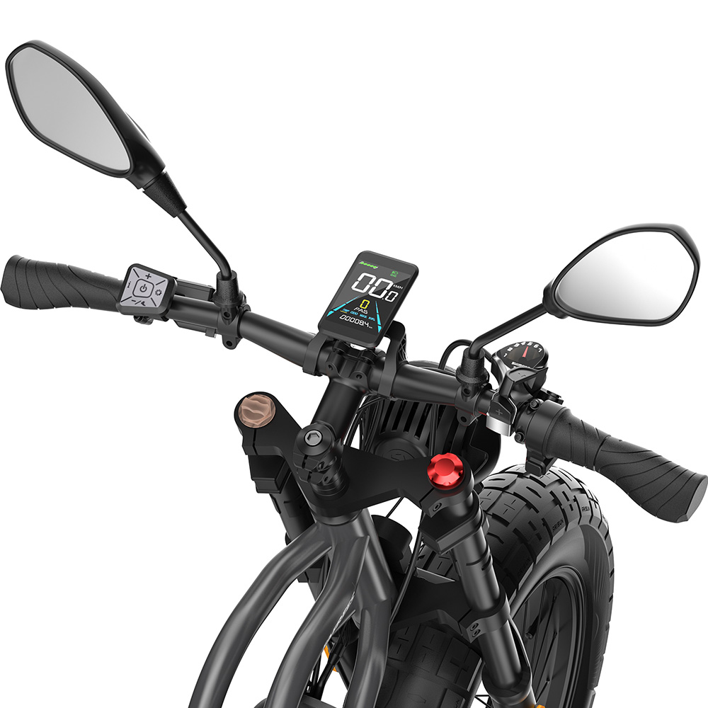 Fafrees F20 Ultra E Bike (Upgraded Version) 750W 48V 25Ah Black | Europe