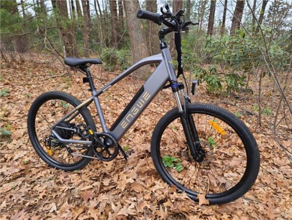 ENGWE P26 Mountain E-Bike 26 Inch 500W Motro 48V 13.6AH 45Km/h Grey