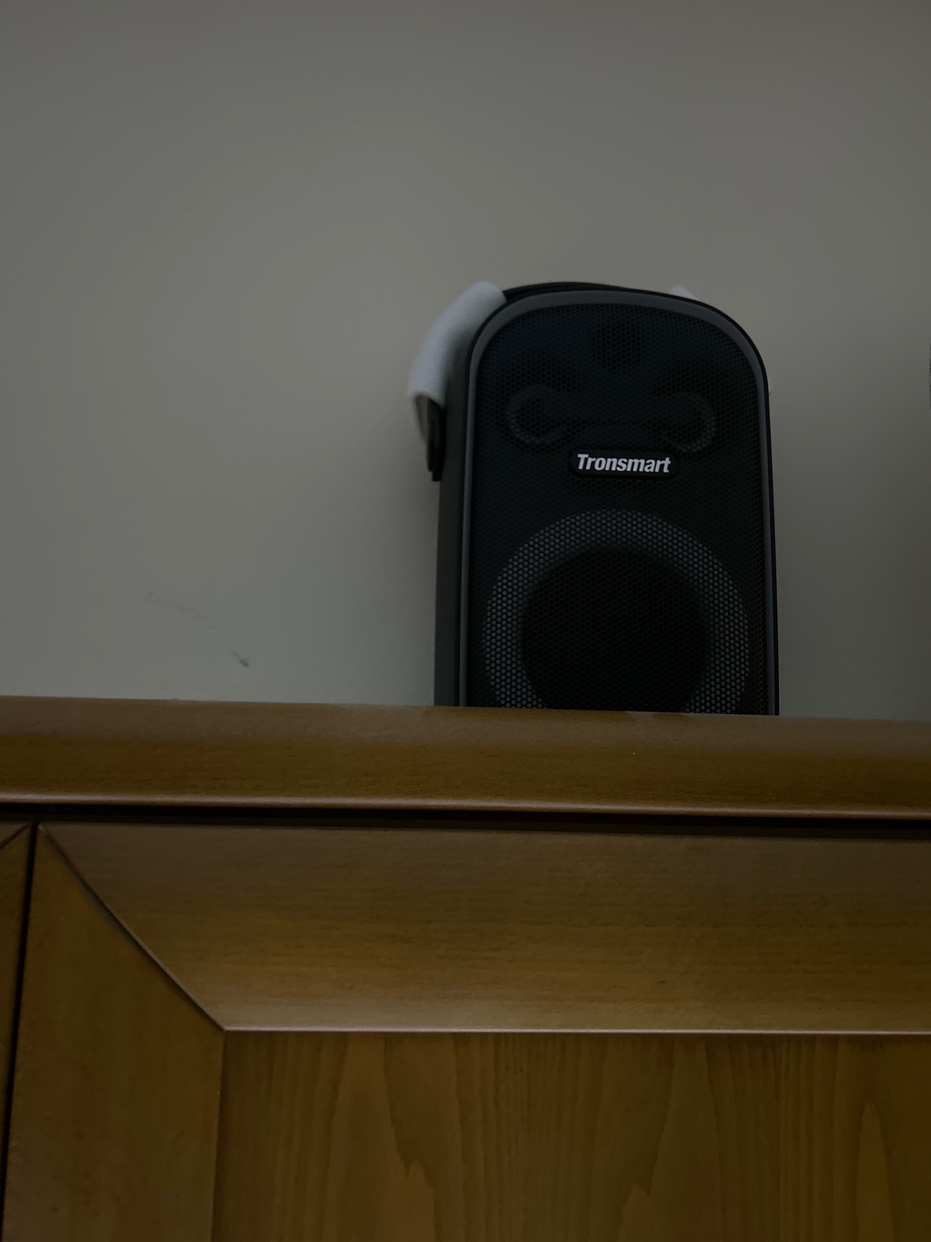 Tronsmart Halo 100 Outdoor & Party Speaker