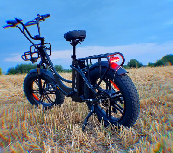 ENGWE L20 Electric Bike 20*4.0 inch Mountain Fat Tire 250W Motor 25km/h ...