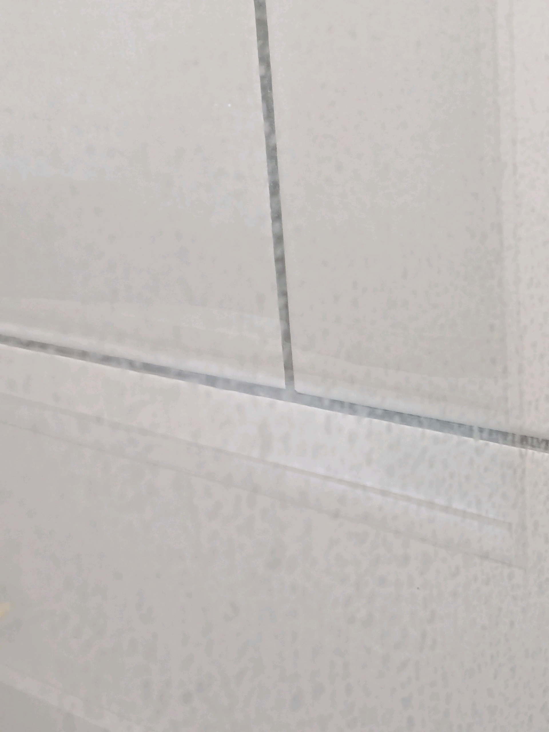 Multi-Purpose Glass Cleaning Brush Blue