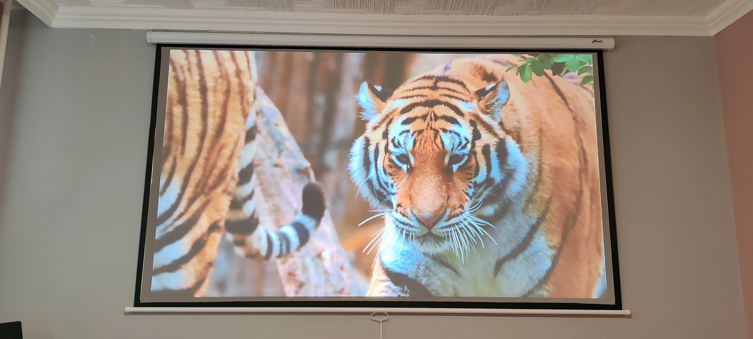 Wanbo X5 Android Projector 1080P 1100 ANSI Lumens