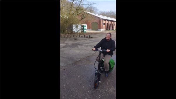 isinwheel U4 Electric Bike 500W 36V 10.4Ah Black